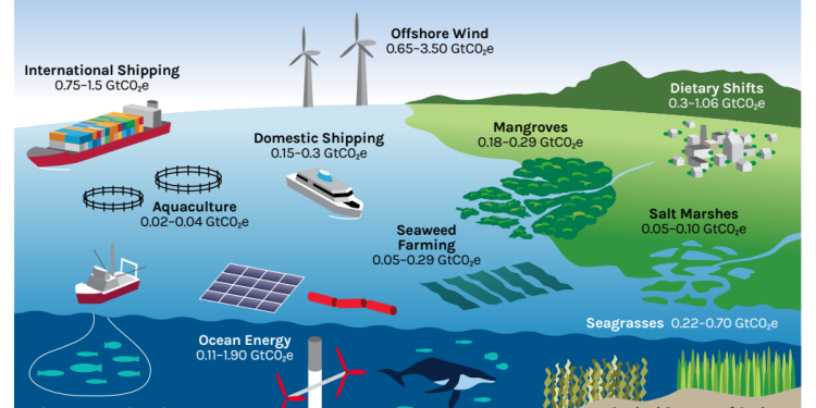 Port Environmental Impact | Global Maritime Hub