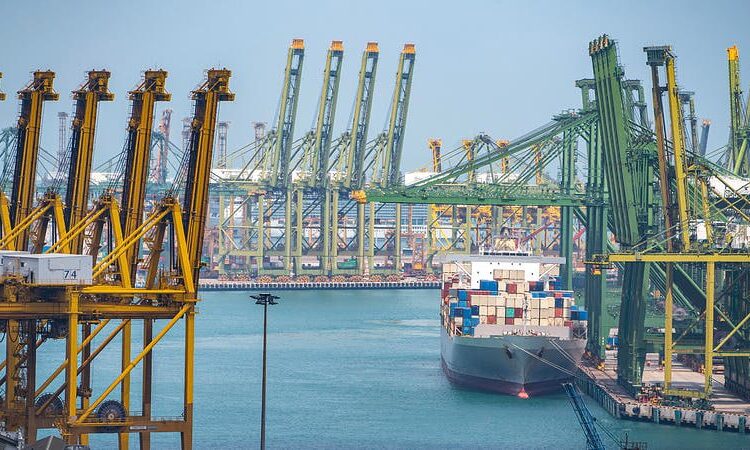 Study on the hierarchical structure of container port systems along the ...